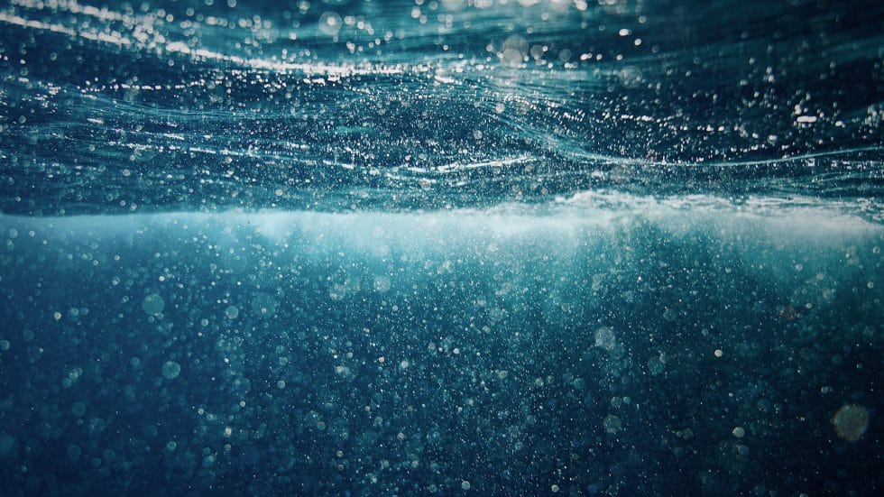 Presentación del nuevo Consejo de Dirección de AEDyR - AEDyR