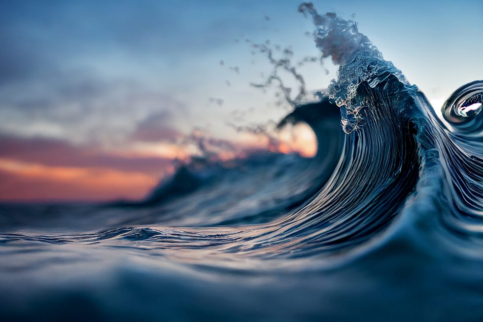 Las sales del mar: ¿son todos los mares igual de salados? - AEDyR